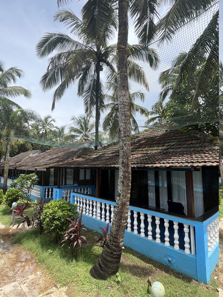 Отель ROCK BITE RESORT -*, Северный Гоа. Морджим / North Goa. Morjim ...