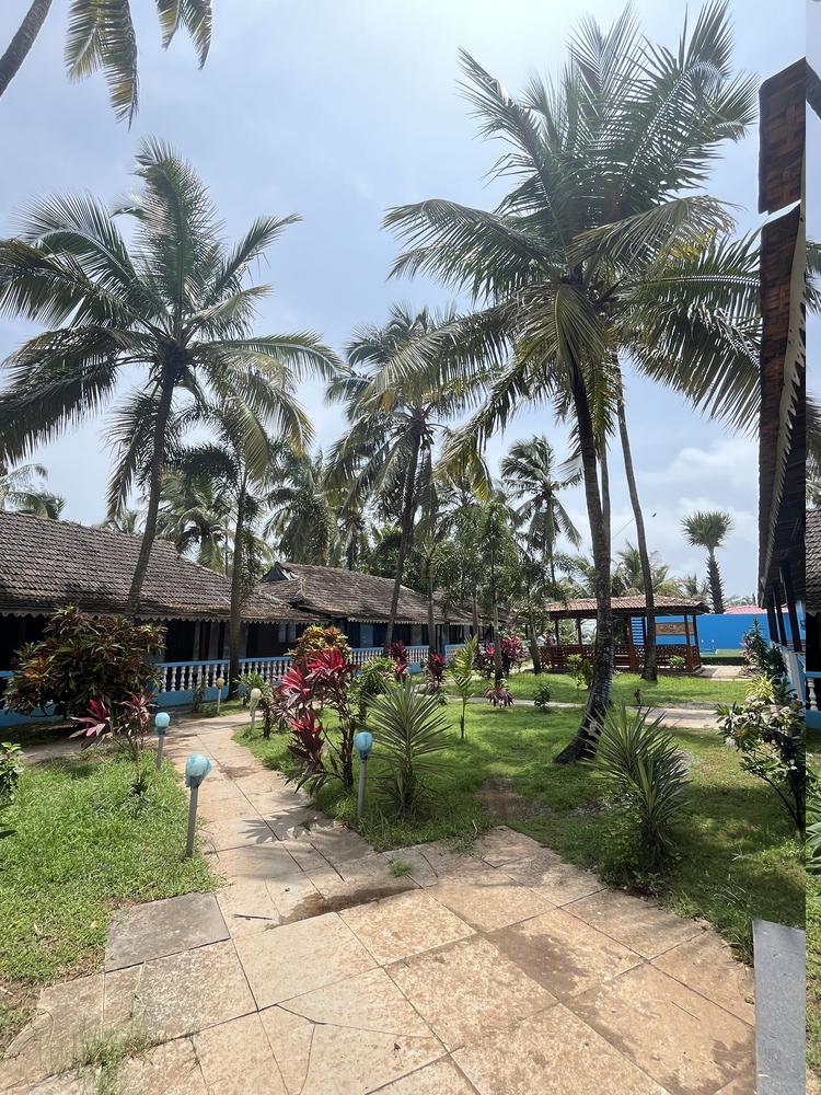 Отель ROCK BITE RESORT -*, Северный Гоа. Морджим / North Goa. Morjim ...
