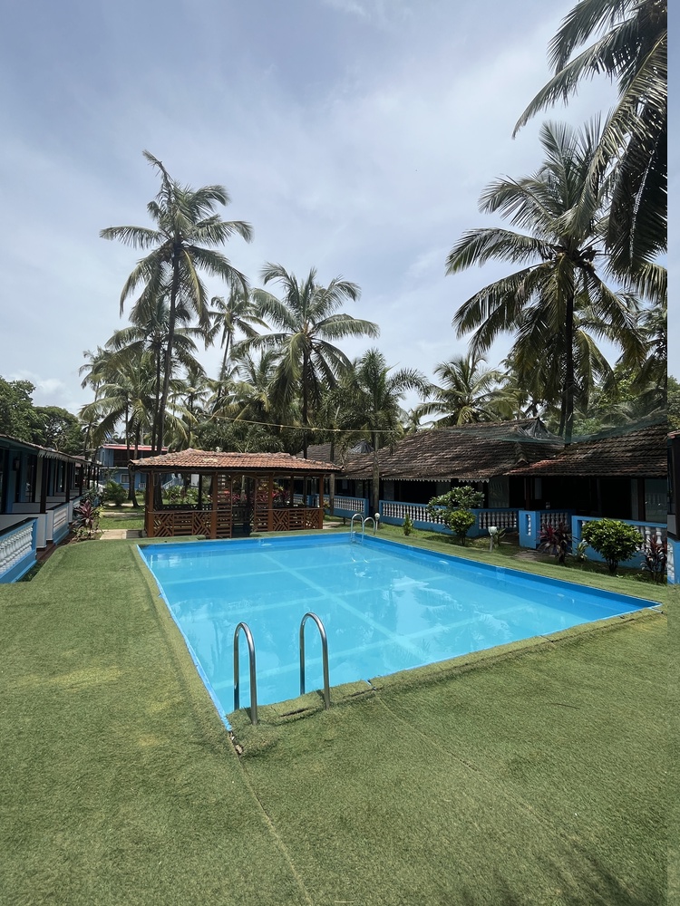 Отель ROCK BITE RESORT -*, Северный Гоа. Морджим / North Goa. Morjim ...